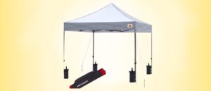 Different Types of Canopies and Styles: Full Guide